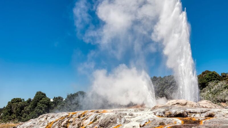 Auckland to Rotorua via Hobbiton One Way Small Group Tour - A Deep Dive into the Itinerary