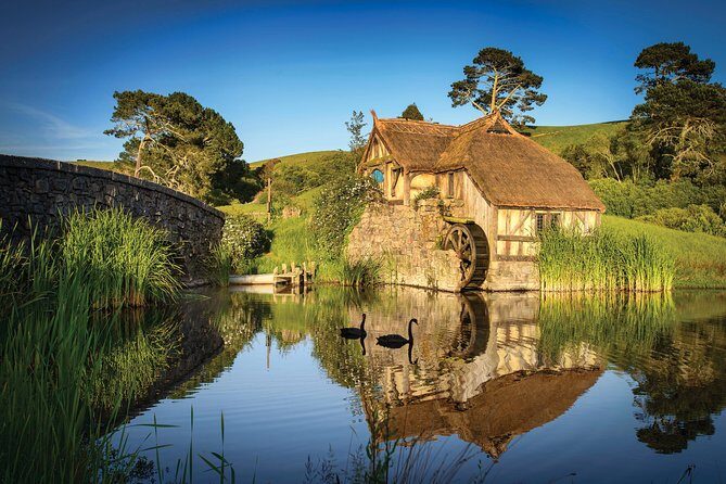 Auckland to Waitomo Caves and Hobbiton Movie Set Private Tour - The Itinerary in Detail