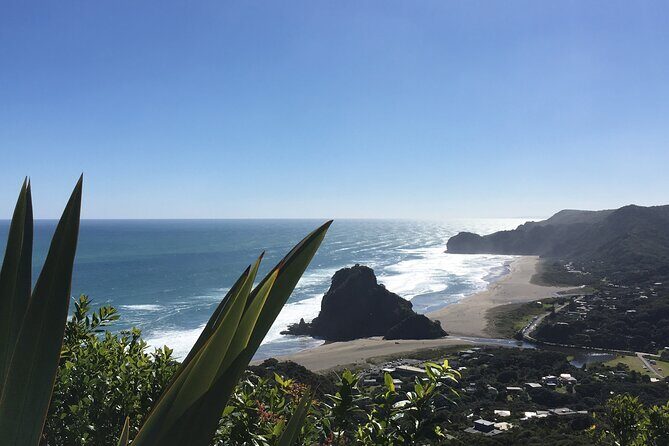 Auckland to Waitomo Caves and Hobbiton Movie Set Private Tour - FAQ