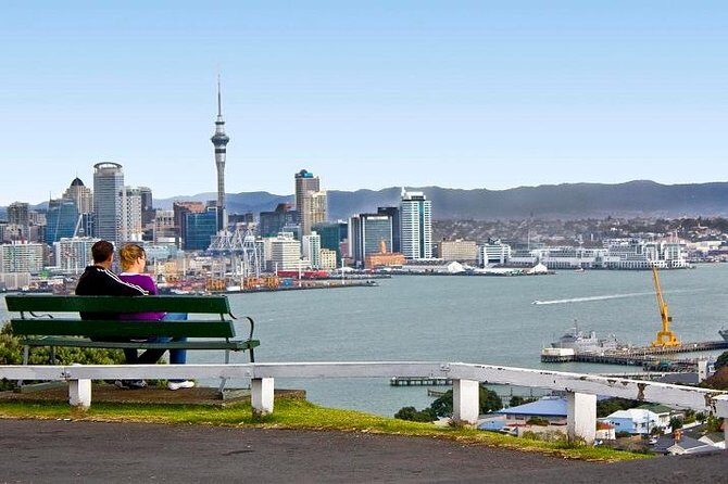 Auckland Tour City Highlights Half Day - Review Insights: Authentic Traveler Perspectives