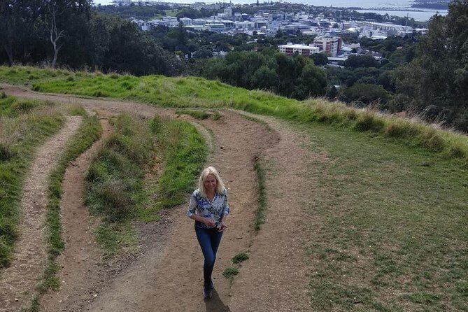 Auckland Tour City Highlights Half Day - Who Should Consider This Tour?