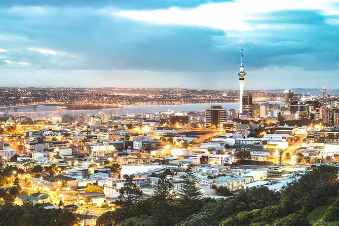 Auckland Tour City Highlights Half Day - The Sum Up: Who Gets the Most from This Experience