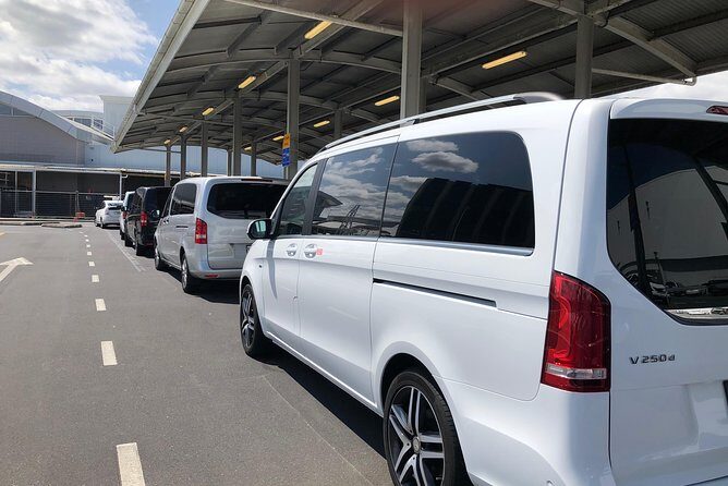 Auckland tours and transfers by hourly Booking - The Sum Up