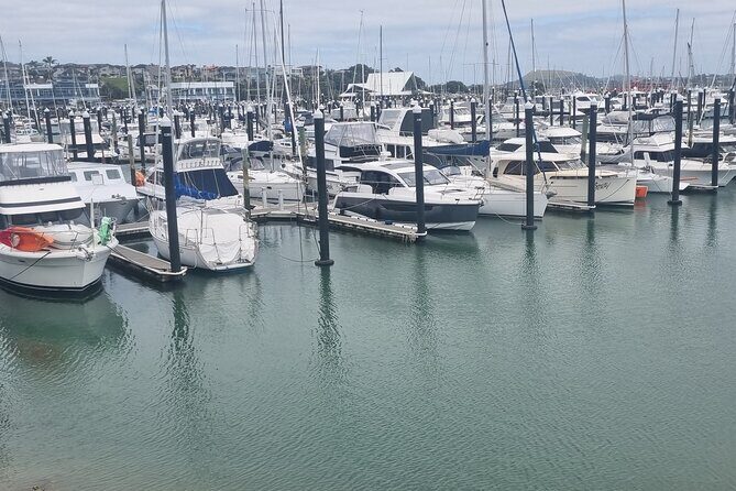 Auckland Town and Country Delights Tour - How This Tour Fits Different Travelers