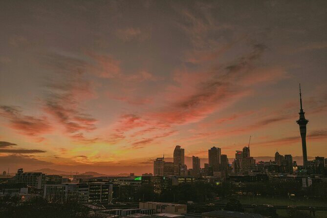 Auckland Urban Charm Half Day Tour - A Closer Look at the Itinerary