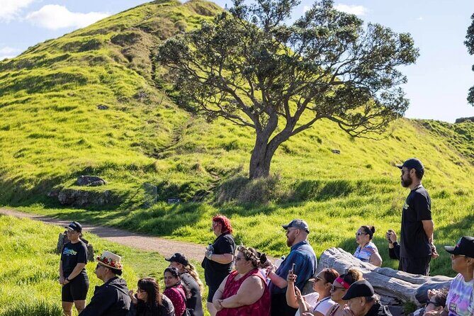 Auckland Urban Mori Experience - Small Group Tour In Auckland - Who Is This Tour Best For?