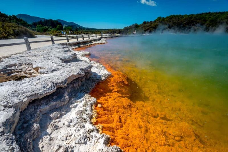 Auckland: Wai-O-Tapu and Lake Taupo Private Day Tour - The Logistics: Transport, Timing, and Comfort