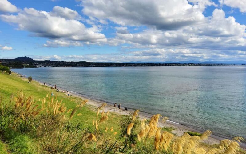 Auckland: Wai-O-Tapu and Lake Taupo Private Day Tour - Who Should Consider This Tour?