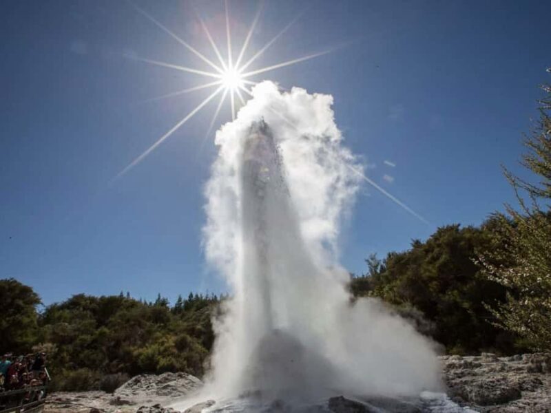 Auckland: Wai-O-Tapu & Wai Ariki Hot Springs Day Tour - What to Expect: An In-Depth Look