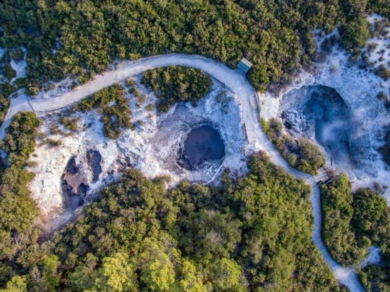 Auckland: Wai-O-Tapu & Wai Ariki Hot Springs Day Tour - Who Is This Tour Best For?