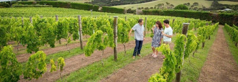 Auckland: Waiheke Island Luxury Experience Private Tour - Who Should Consider This Tour?