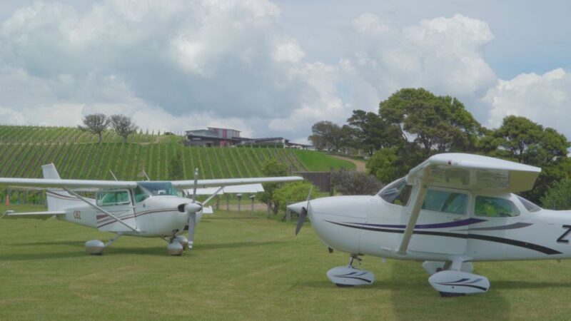Auckland: Waiheke Island Wine and Food Tasting with Flights - The Value of the Experience