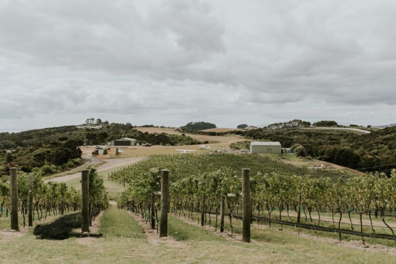 Auckland: Waiheke Island Wine and Food Tasting with Flights - Final Thoughts: Is This the Right Tour for You?