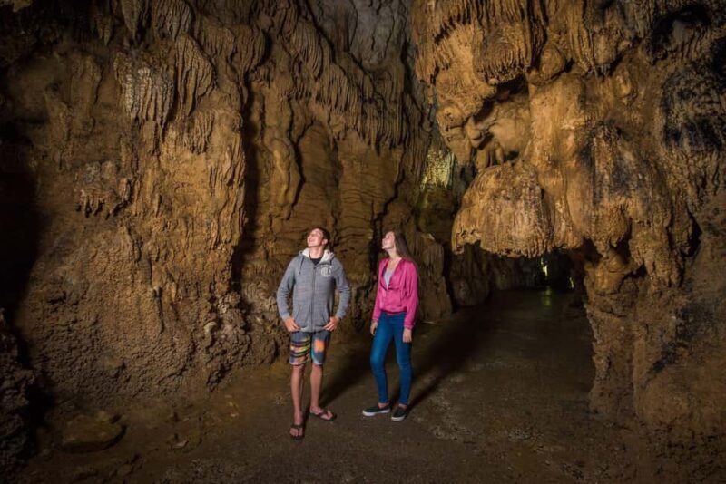 Auckland: Waitomo Caves & Rotorua - Te Puia Small-Group Tour - Final Thoughts: Is It Worth It?