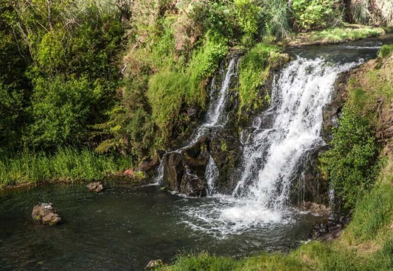 Auckland Waterfall Tour - An In-Depth Look at the Auckland Waterfall Tour