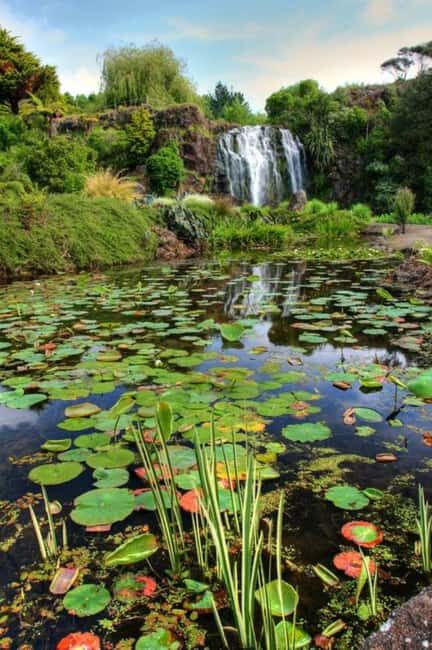Auckland Waterfall Tour - Authentic Experiences and Travel Tips