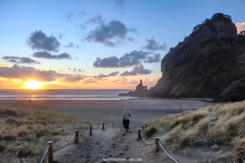 Auckland: West Coast Discovery - Key Points