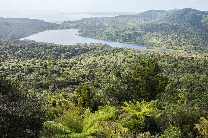 Auckland West Coast Half-Day Private Tour - What Makes This Tour Special?