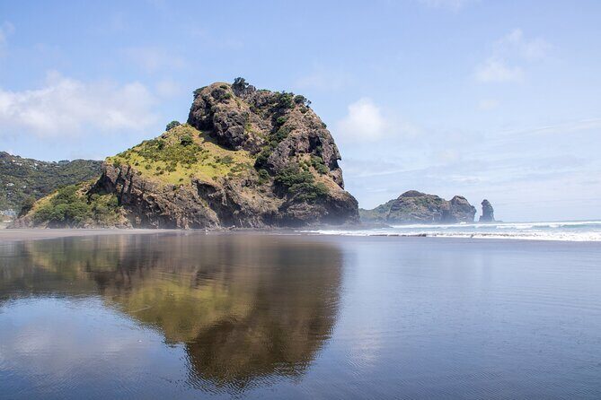 Auckland West Coast Half-Day Private Tour - The Overall Experience and Value