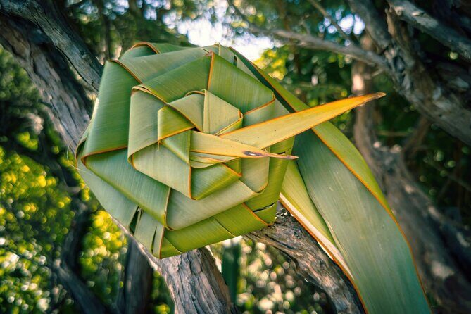 Auckland West Coast Half-Day Private Tour - FAQs