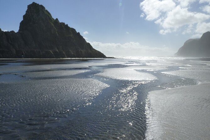 Auckland West Coast Rainforest and Beach Tour - Discover the Auckland West Coast Rainforest and Beach Tour