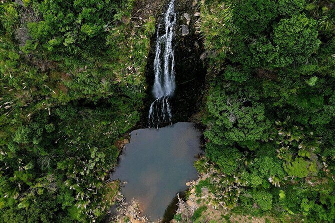 Auckland West Coast Rainforest and Beach Tour - An In-Depth Look at the Itinerary