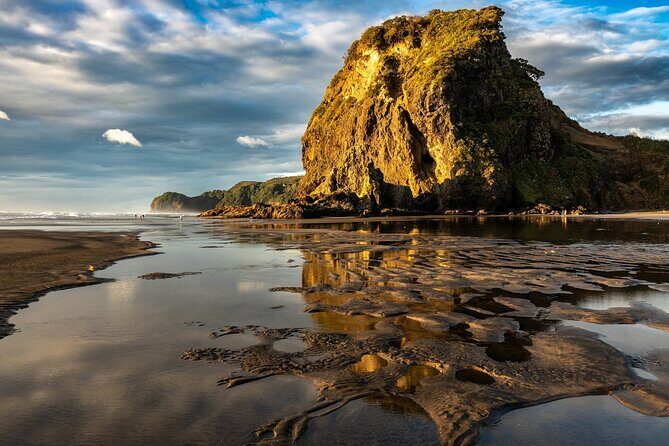 Auckland West Coast Rainforest and Beach Tour - The Value of This Tour