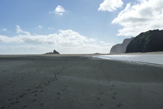 Auckland West Coast Rainforest and Beach Tour - Frequently Asked Questions