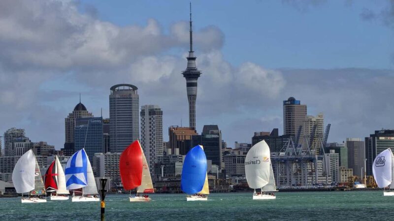 Auckland: Wild West Coast, Black Sand Beaches Tour inc Lunch - Evaluating the Value