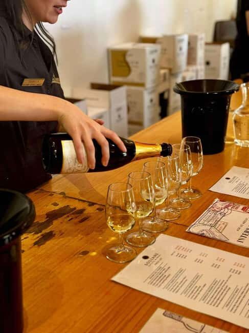 Auckland: Wine region tour with tastings and gourmet lunch - Authentic Experiences & What Makes This Tour Special