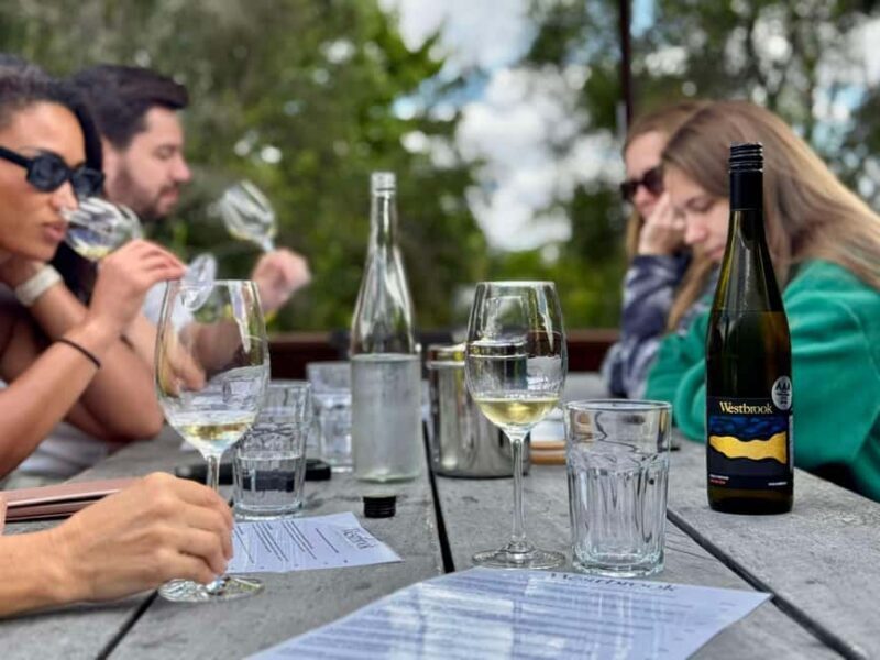 Auckland: Wine region tour with tastings and gourmet lunch - Who Is This Tour Best For?