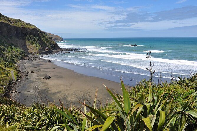 Auckland's Wild West Coast & Black Sand Beaches Tour inc Lunch - Aucklands Wild West Coast & Black Sand Beaches Tour inc Lunch: An In-Depth Review