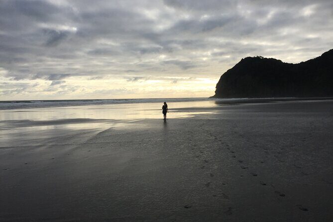 Auckland's Wild West Coast & Black Sand Beaches Tour inc Lunch - Who Should Consider This Tour?