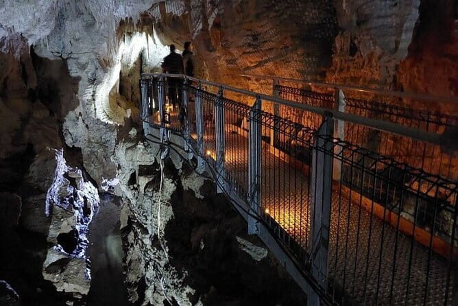 Auckland's Wild West Coast & Black Sand Beaches Tour inc Lunch - Frequently Asked Questions