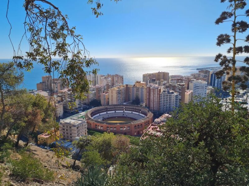 Audioguide City Walk Malaga for cruises (German & English) - Pros and Cons Summary