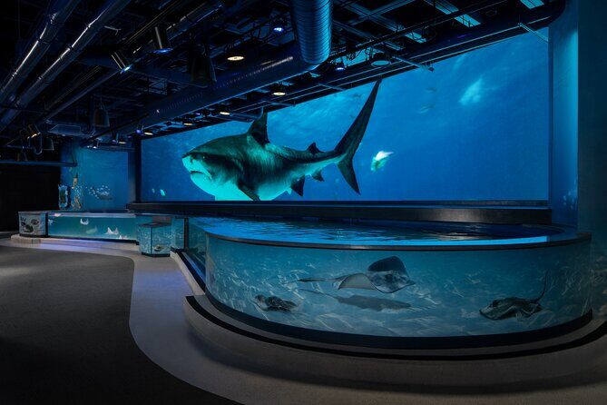 Audubon Aquarium & Insectarium Ticket - Practical Tips for Your Visit