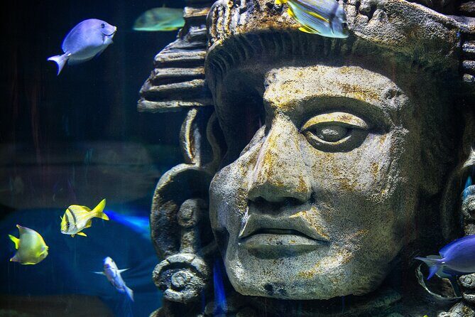 Audubon Aquarium & Insectarium Ticket - The Sum Up: Who Will Love This Tour?
