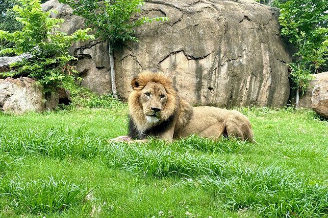 Audubon Zoo, Aquarium, and Insectarium Combo Ticket - A Deep Dive Into the Attractions