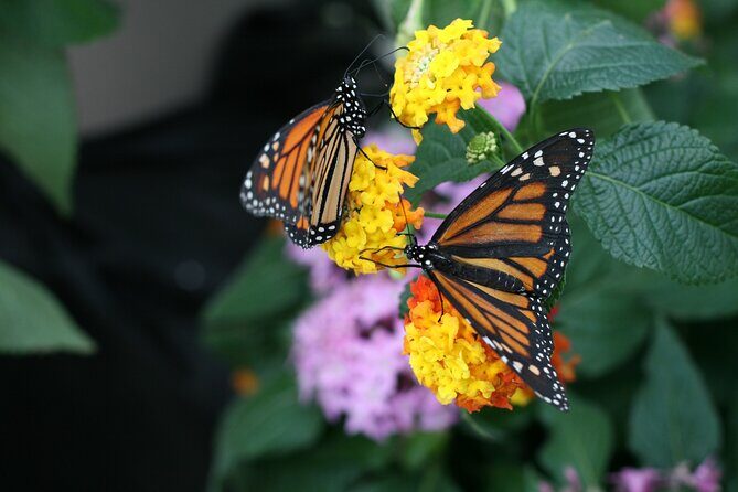 Audubon Zoo, Aquarium, and Insectarium Combo Ticket - Final Thoughts: Who Will Love This?