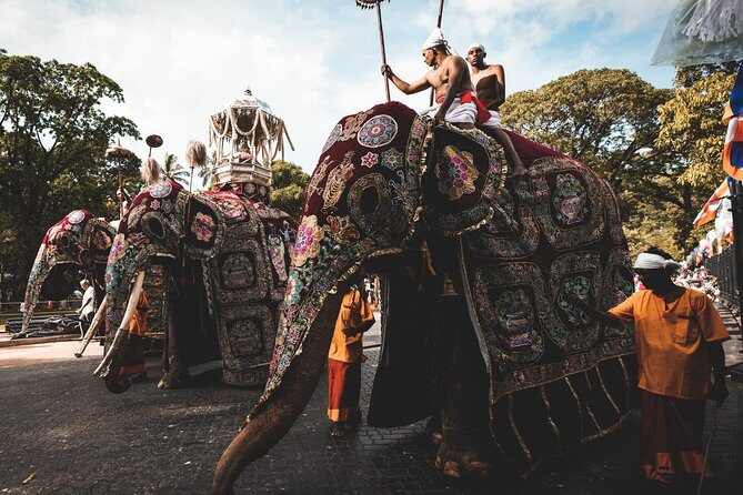 August Kandy Festive Tour - The Sum Up