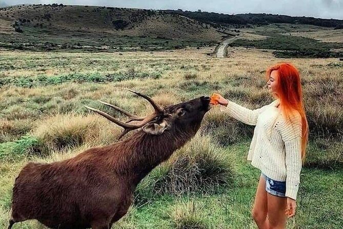 August Kandy Festive Tour - FAQ