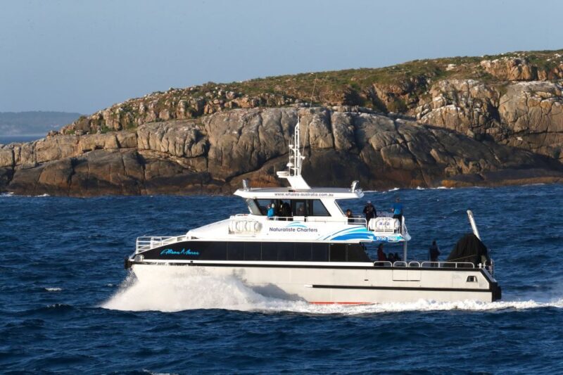 Augusta: Whale Watching Tour - Final Thoughts: Is This Tour Right for You?