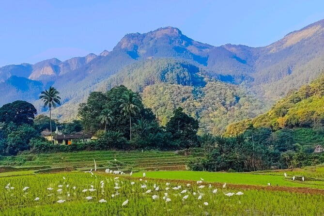Aukana And Anuradhapura Day Tour From Kandy - FAQ