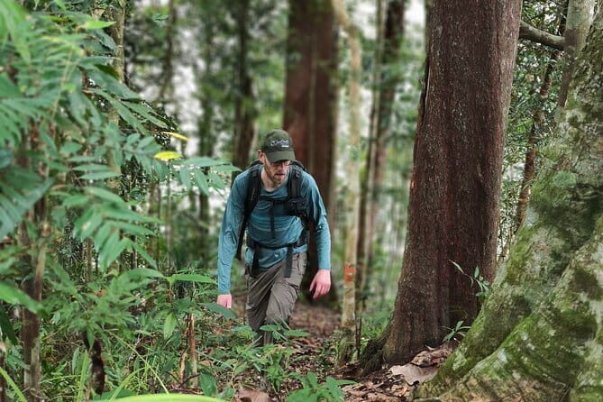 Aura Montoria and Waterfall Jungle Camping: 3-Day - Exploring the Itinerary in Detail