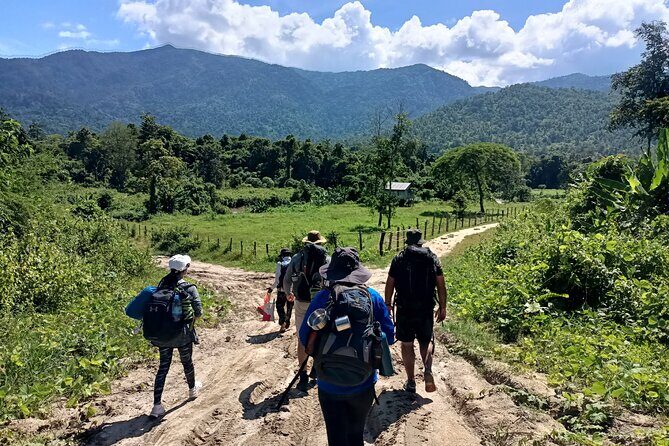 Aural Mountain Trek: Cambodia Tallest Peak Challenge - Why Consider This Trek? An Honest Look