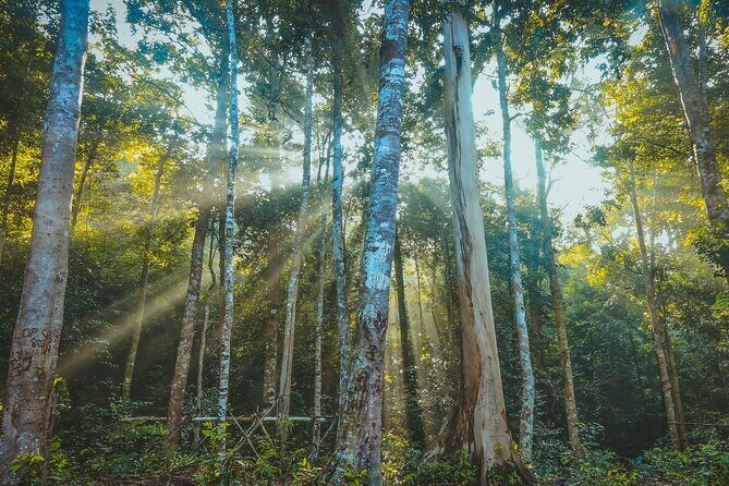 Aural Mountain Trek: Cambodia Tallest Peak Challenge - Authenticity and Adventure in Every Step