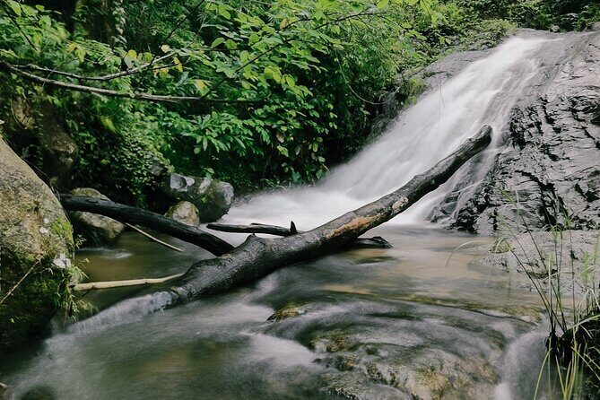 Aural Mountain Trek: Cambodia Tallest Peak Challenge - Who Will Love This Tour?
