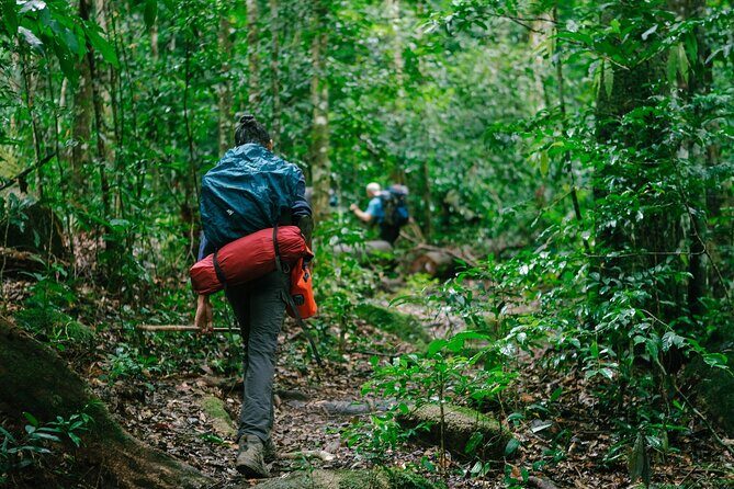 Aural Mountain Trek: Cambodia Tallest Peak Challenge - What Travelers Are Saying