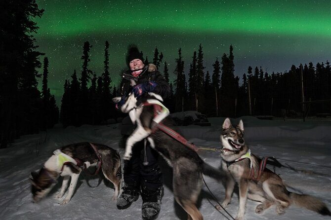 Aurora Activity at Sluice Box Sled Dogs - An Introduction to the Sluice Box Sled Dogs Aurora Tour
