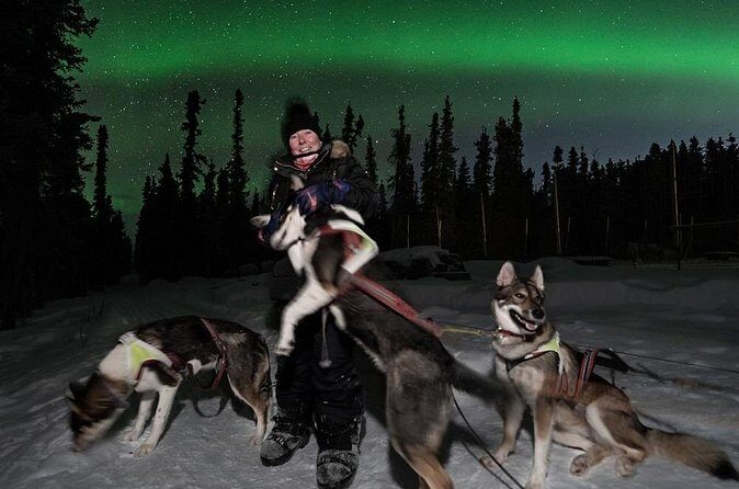 Aurora Activity at Sluice Box Sled Dogs - A Closer Look at the Journey